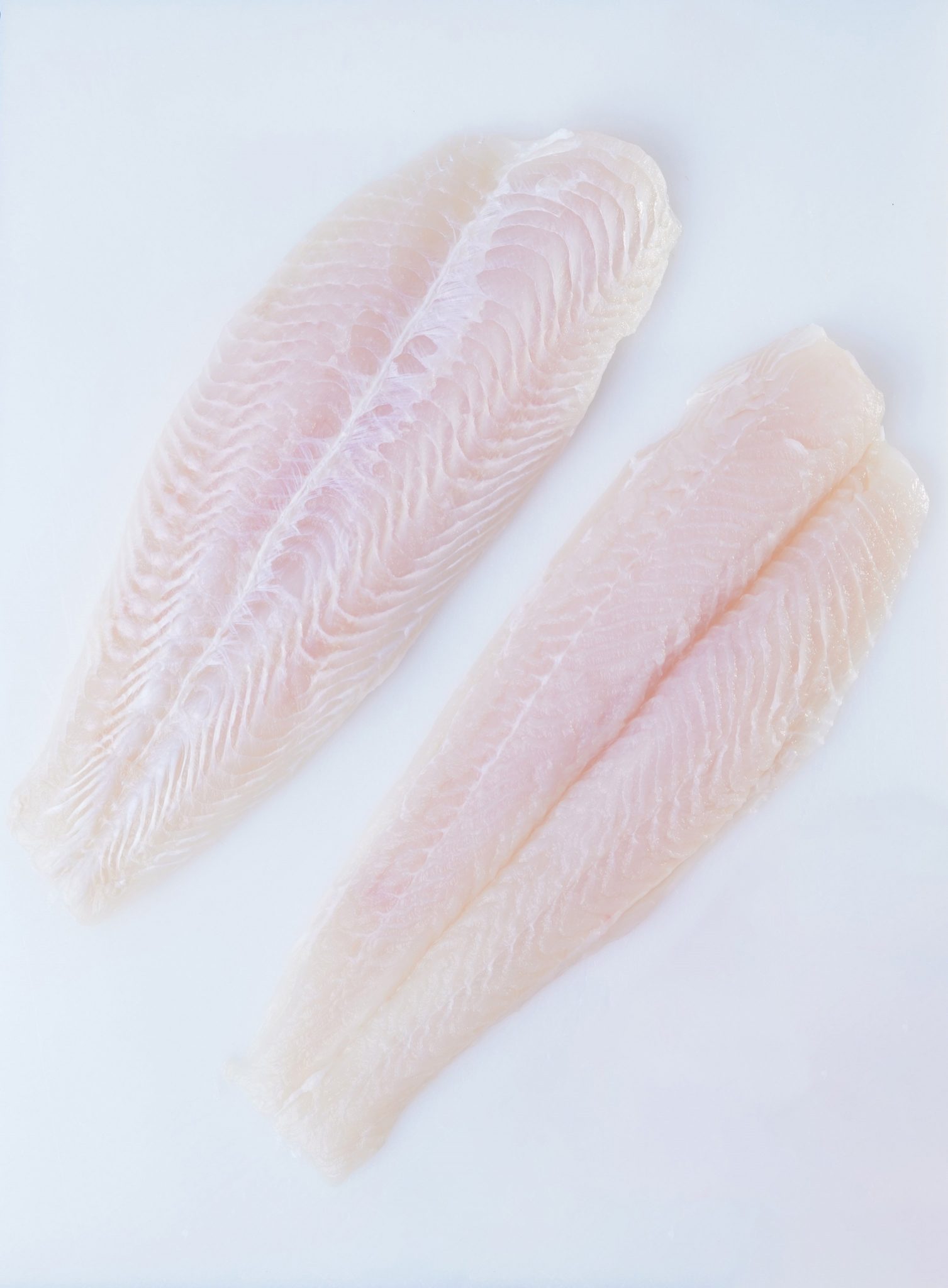 PANGASIUS FILLET SKINLESS - THUFICO
