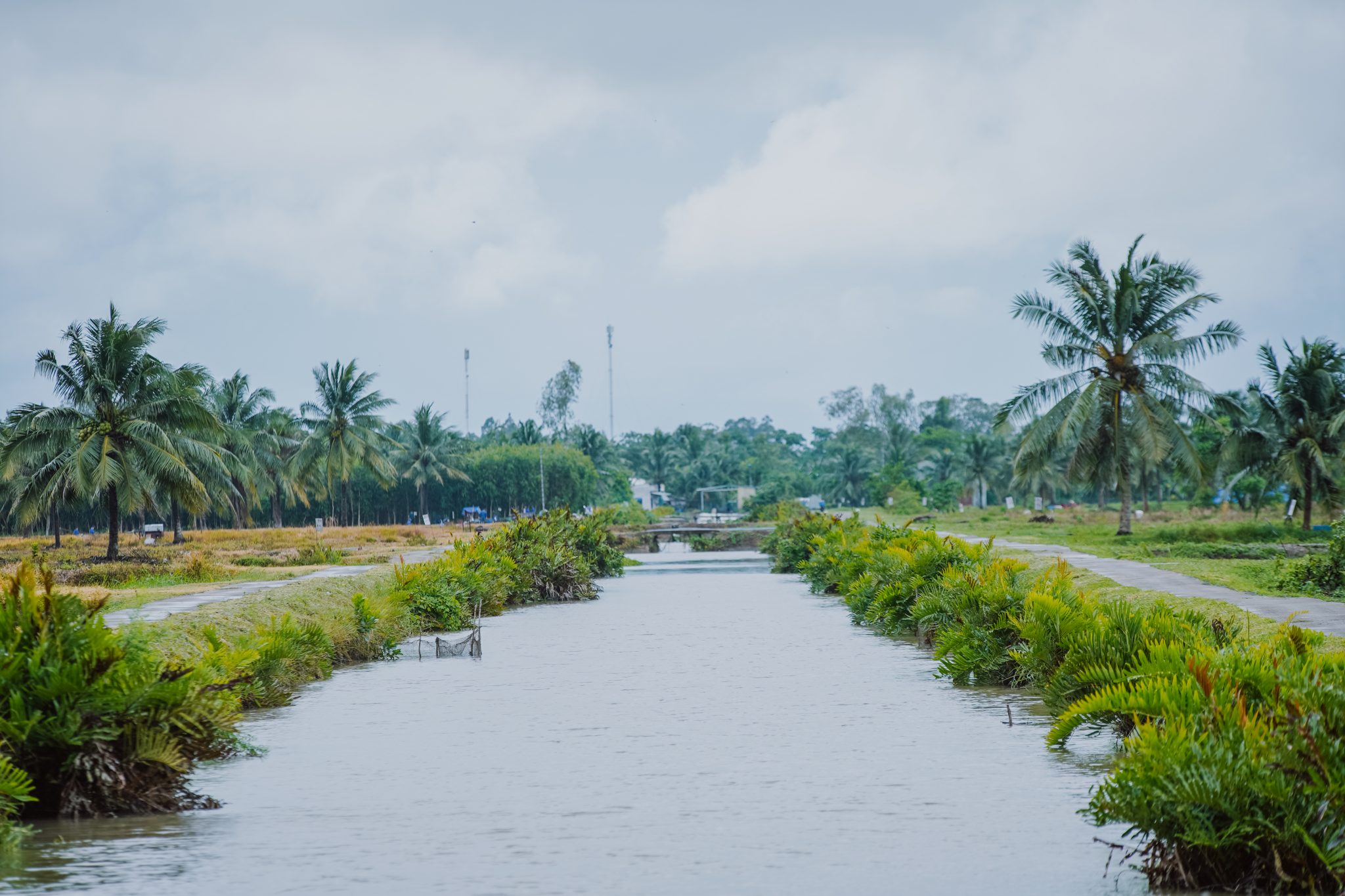 Benefits of Freshwater Fish Farming - THUFICO